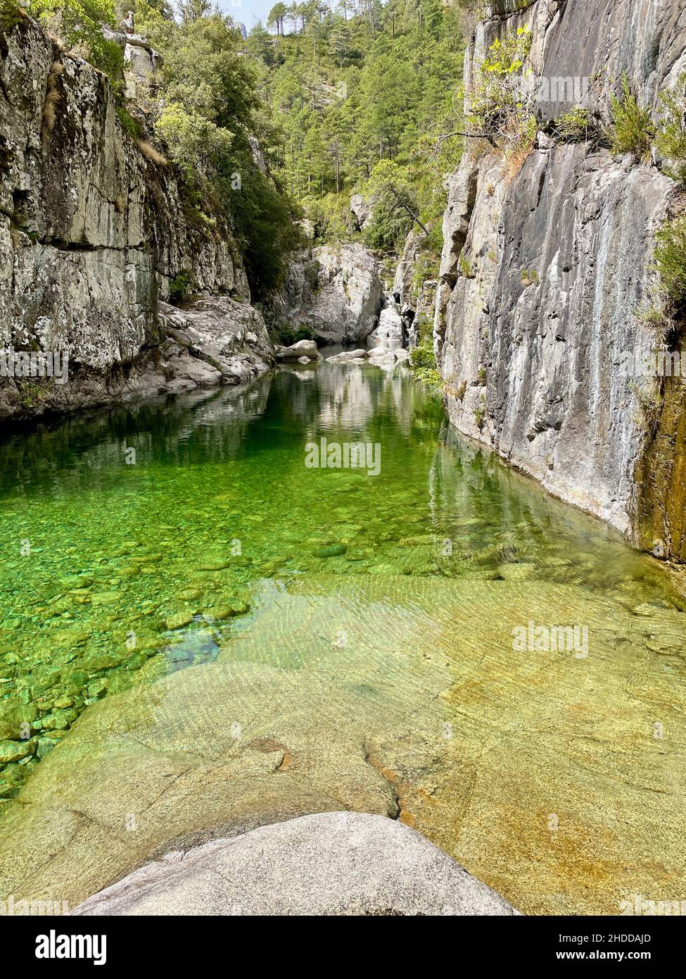 Family swimming pool france hi-res stock photography and images - Alamy