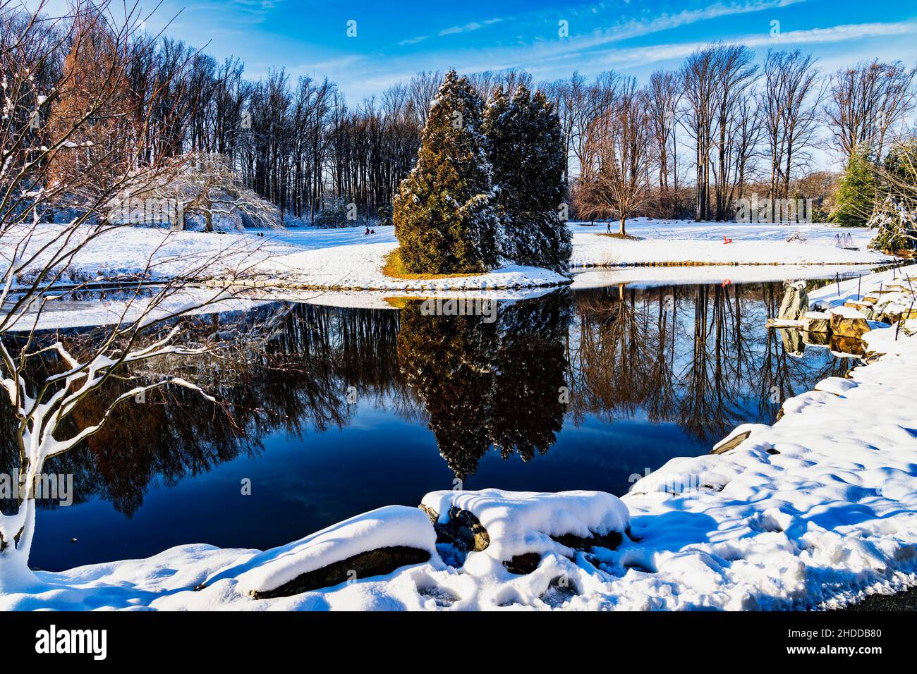 Park pond in a winter setting Stock Photo - Alamy