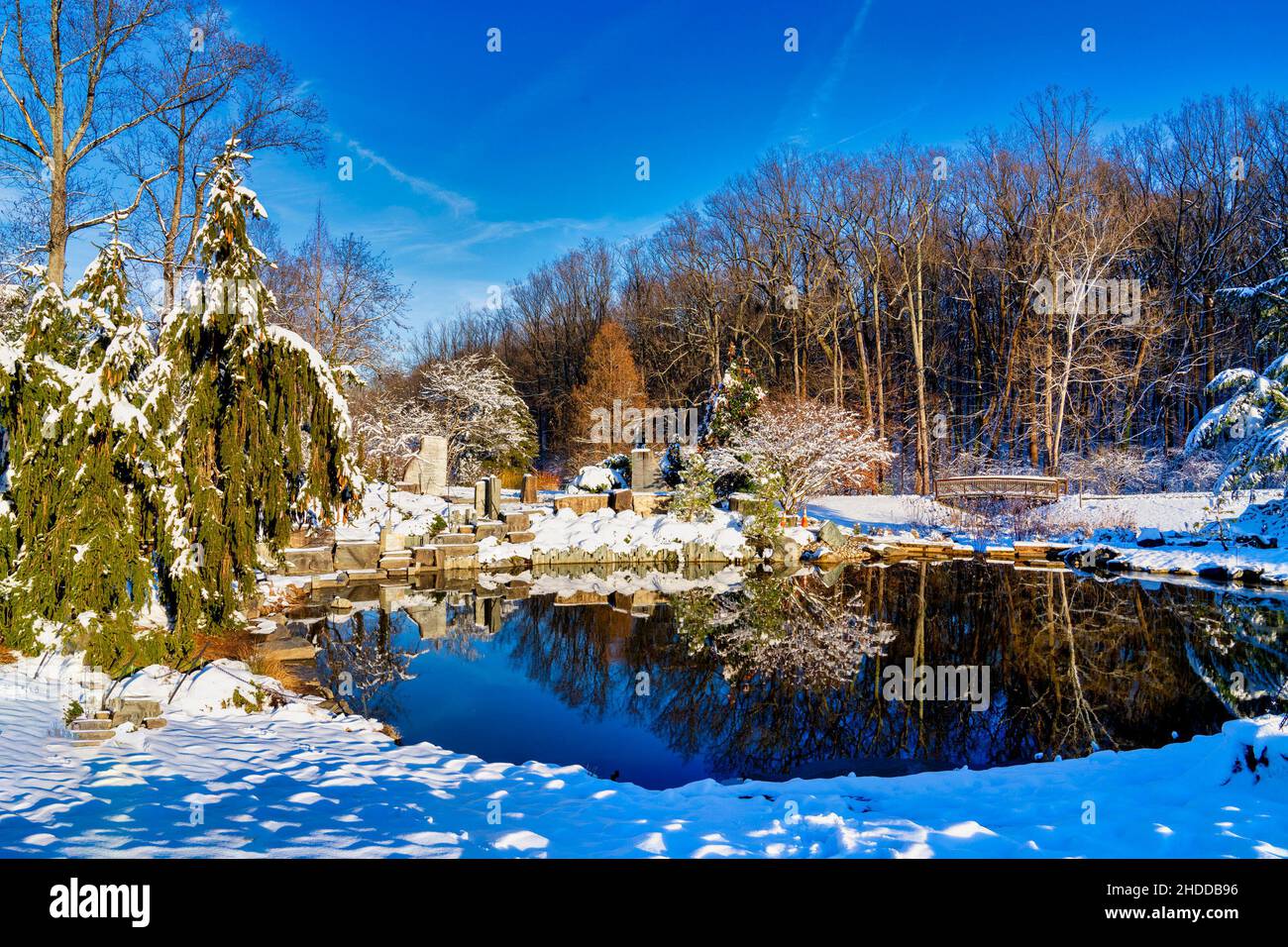 A parkland Pond in a winter setting Stock Photo - Alamy