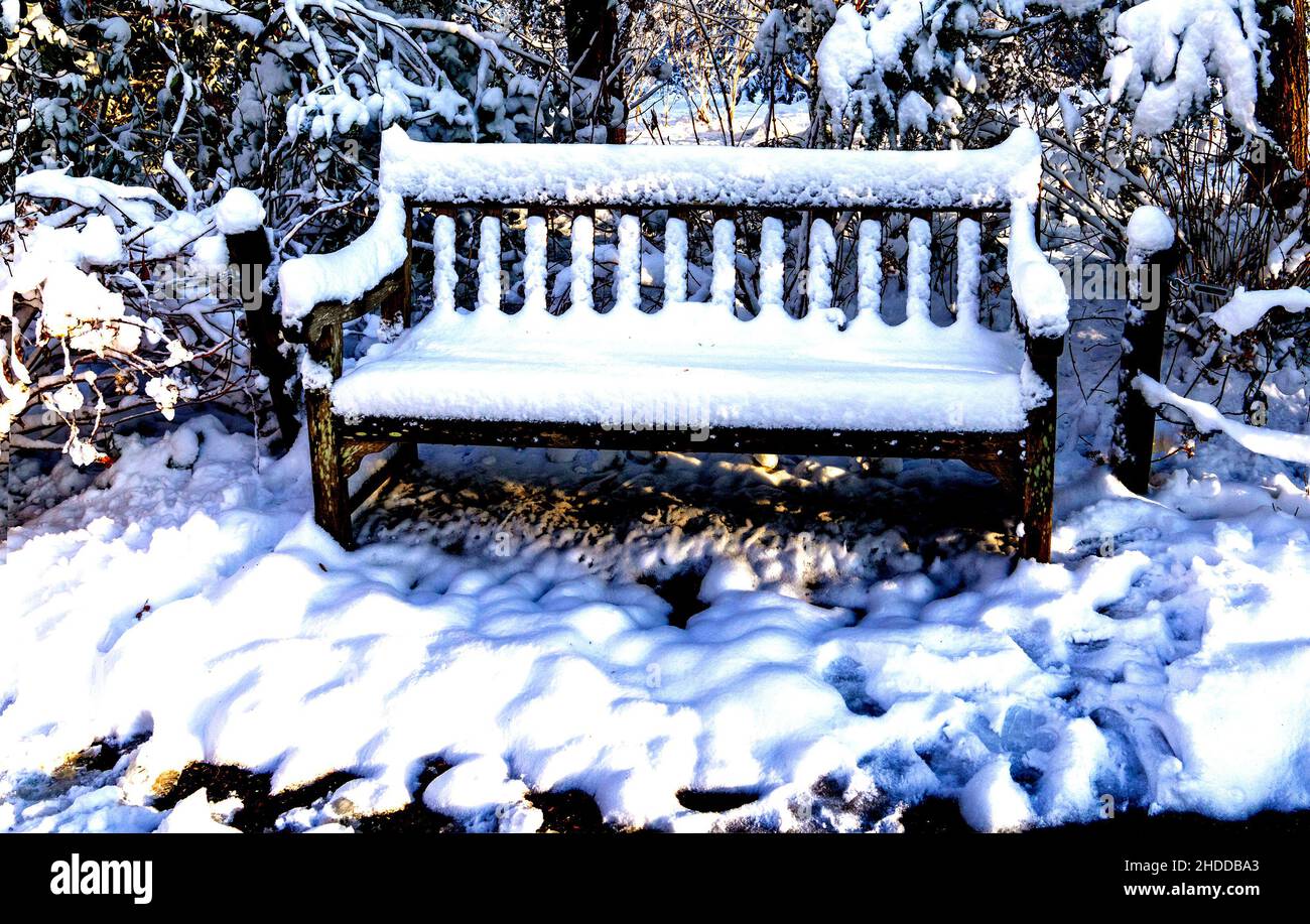 Park bench covered in snow Stock Photo - Alamy