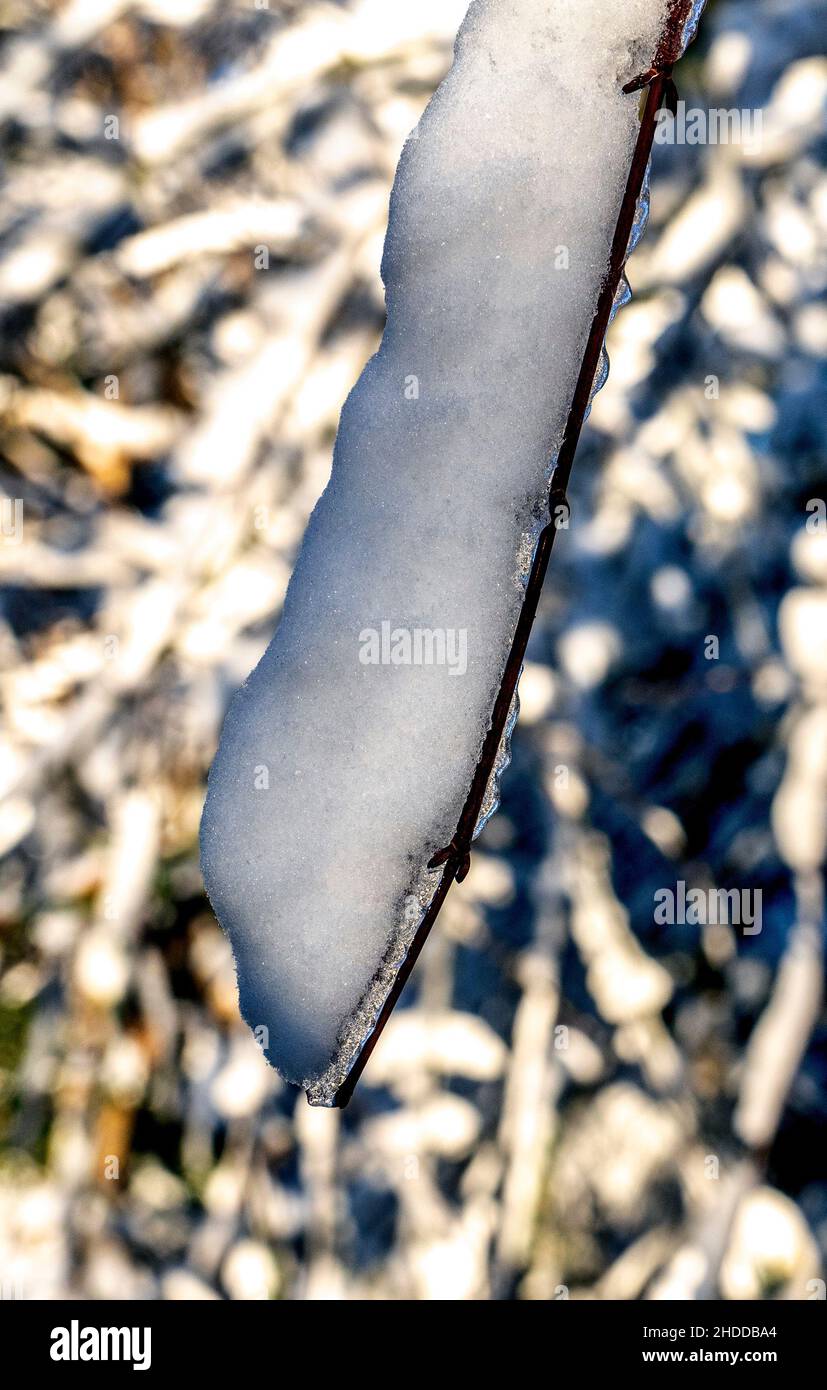 Clump of snow hi-res stock photography and images - Alamy