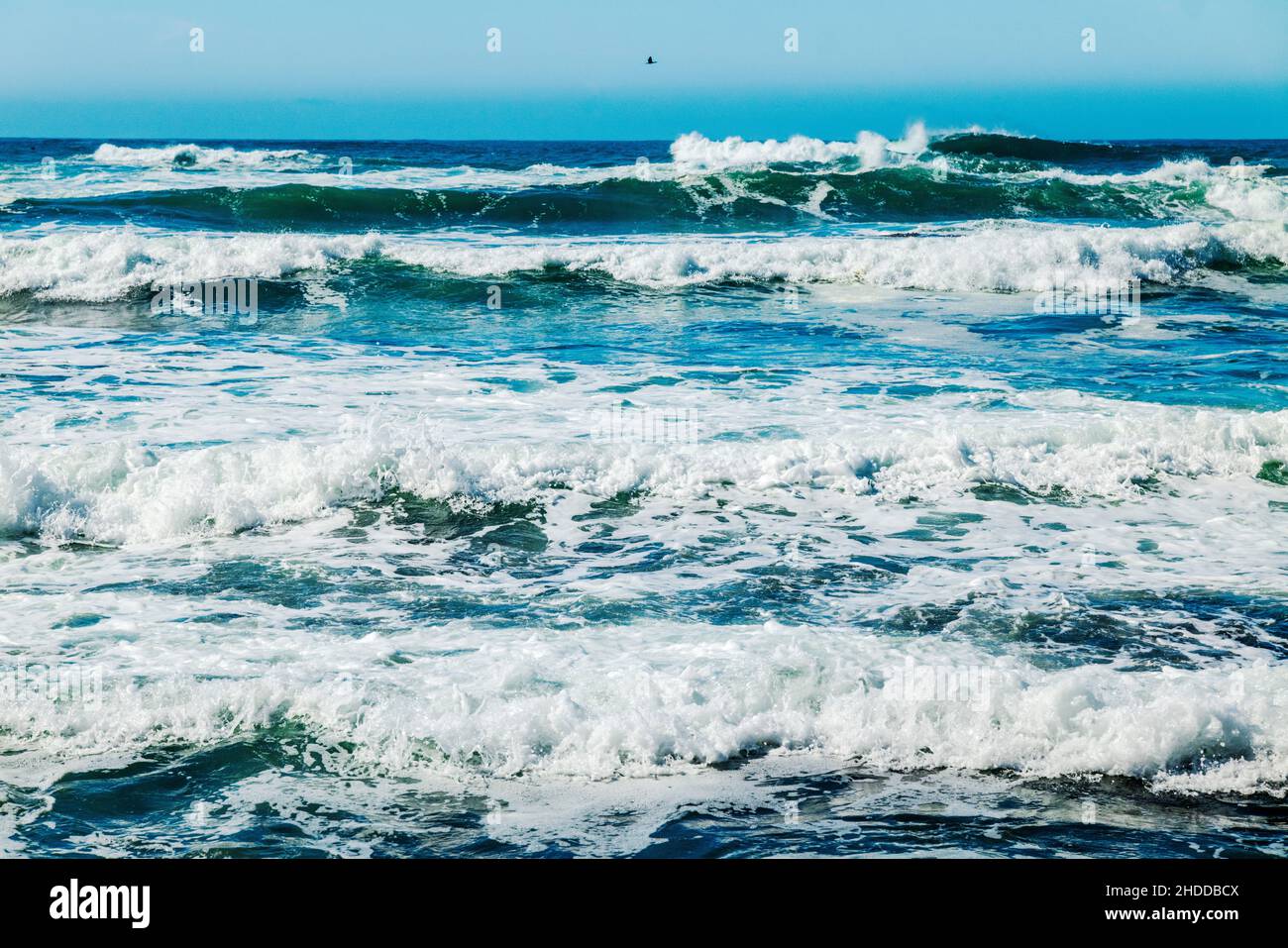 Pacific Ocean; Oregon coast; near the Yaquina Lighthouse; Newport ...