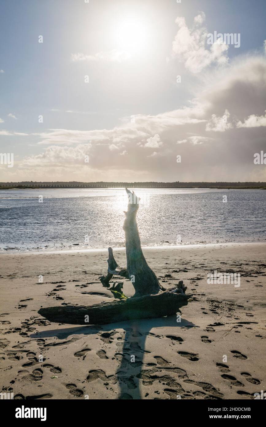 Ocean; beach; sun; Fort Stevens State Park; Pacific Ocean; Oregon coast ...