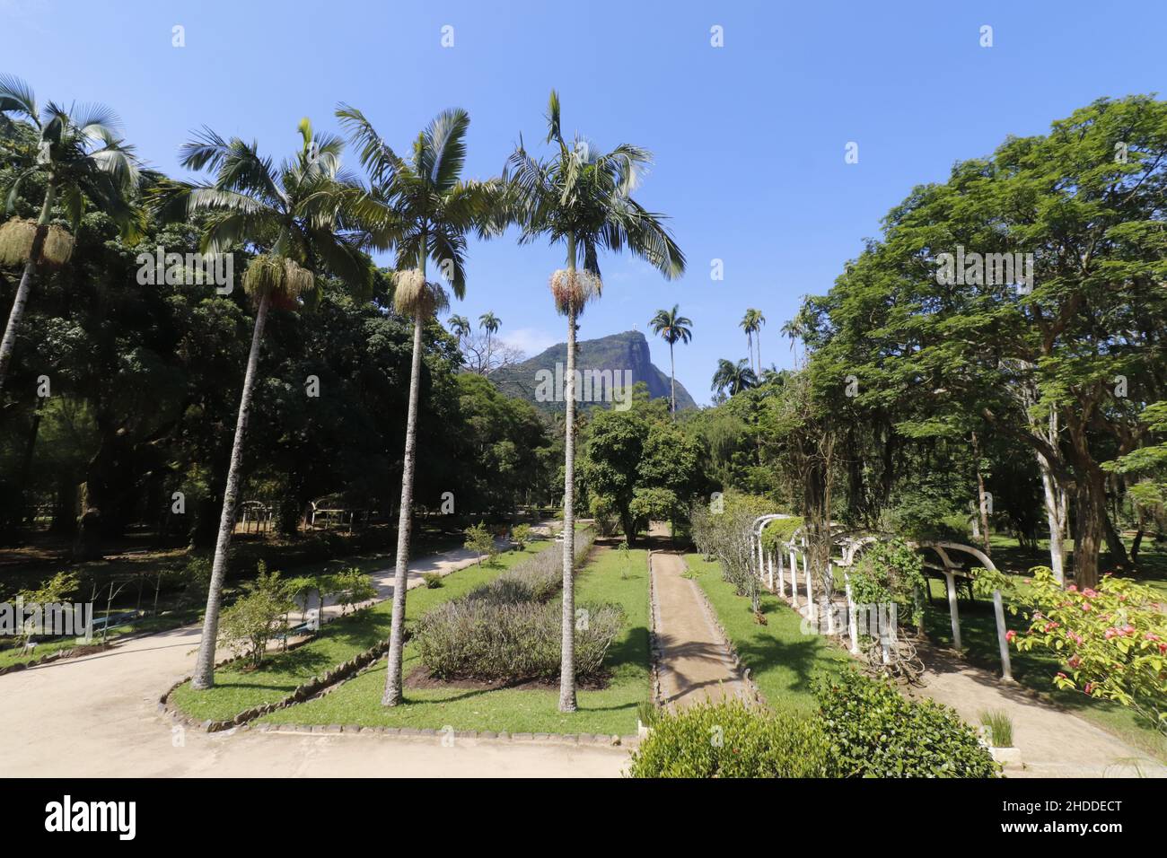 Rio de janeiro botanical garden hi-res stock photography and images - Alamy