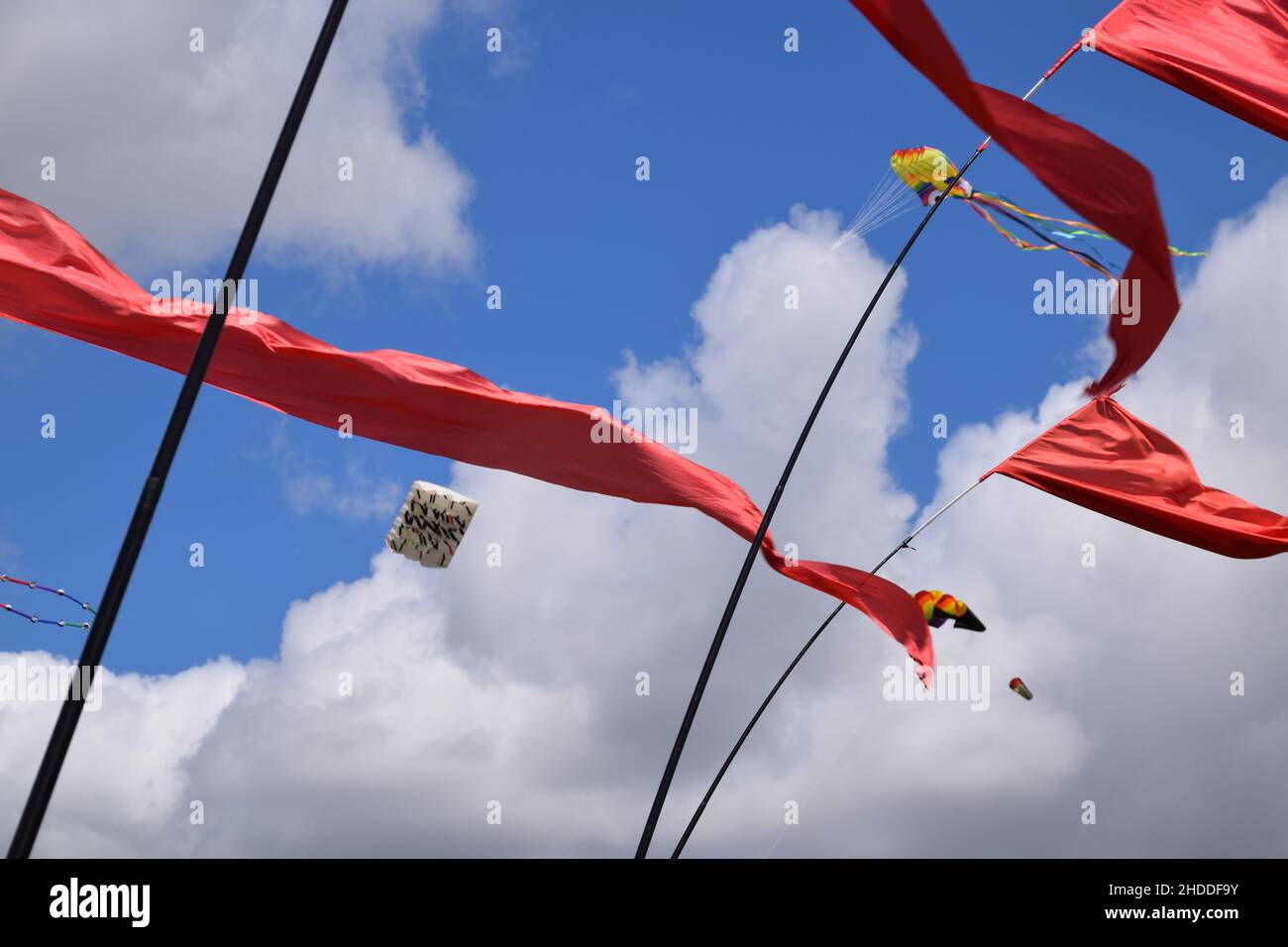 Windy wind breezy hi-res stock photography and images - Alamy