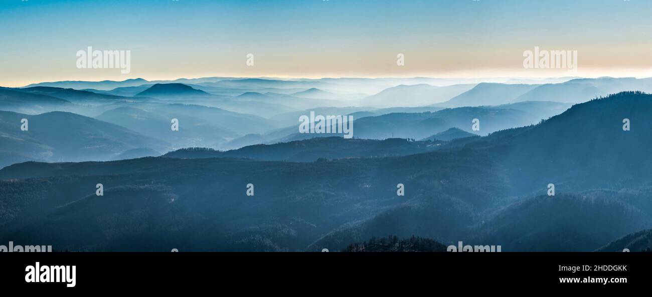 First winter cold. On the tops of the Vosges mountains, the trees are ...
