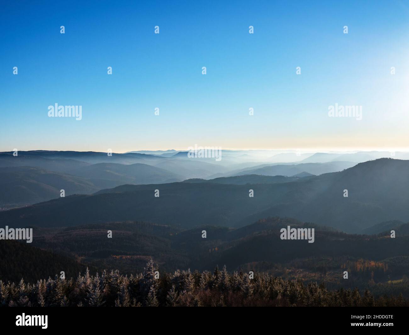 First winter cold. On the tops of the Vosges mountains, the trees are ...