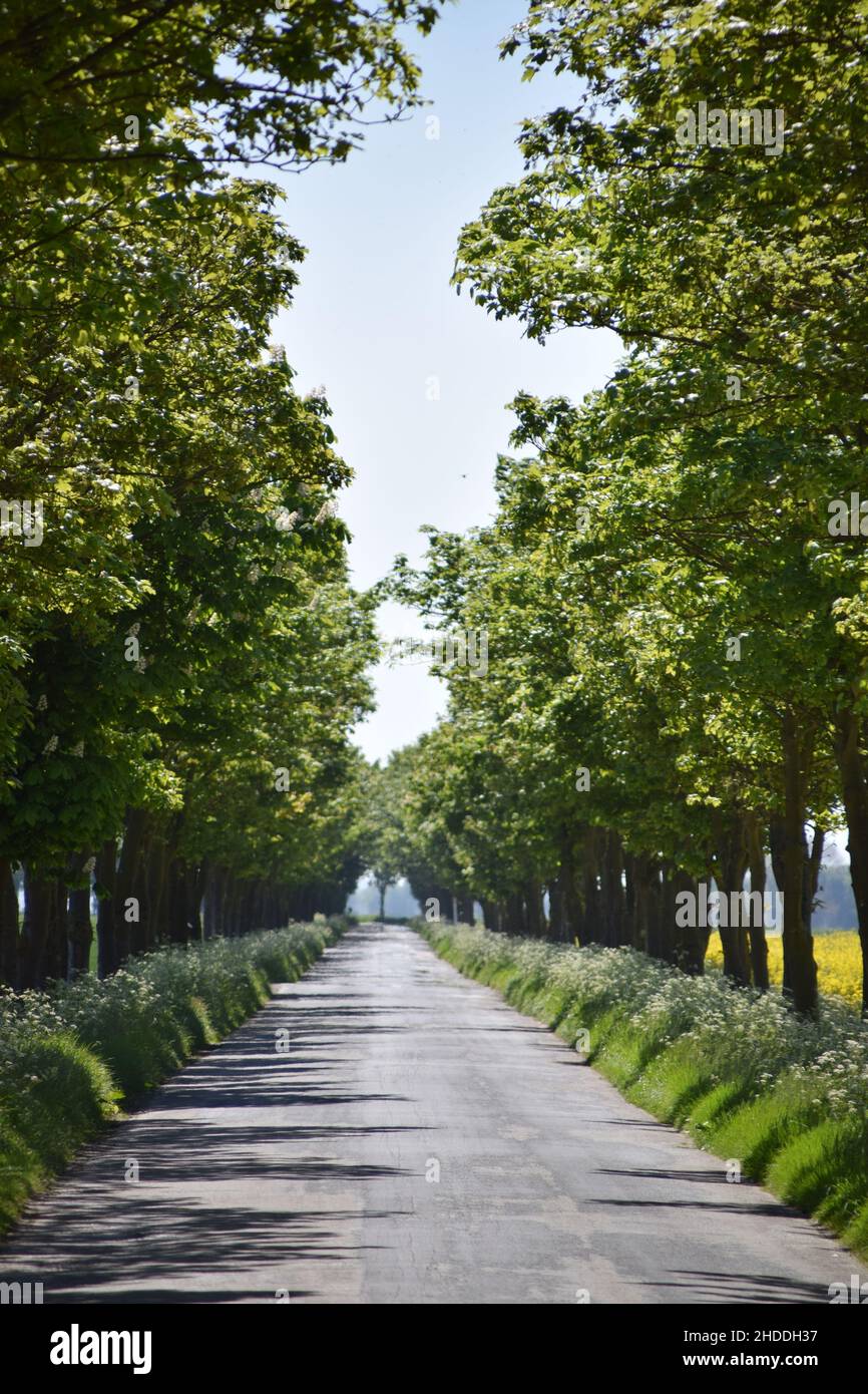 Long straight country road hi-res stock photography and images - Alamy