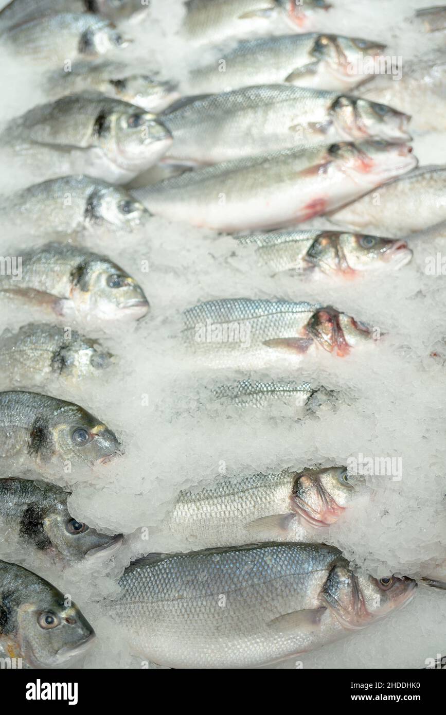 Fish on a shop window. Sale of seafood Stock Photo - Alamy