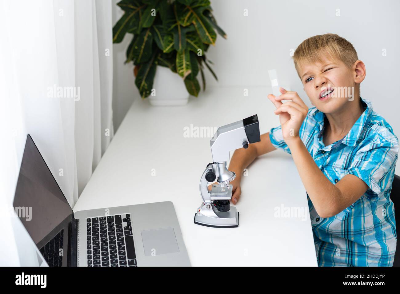 Smart Young Boy Works on a Laptop For His New Project in His Computer ...