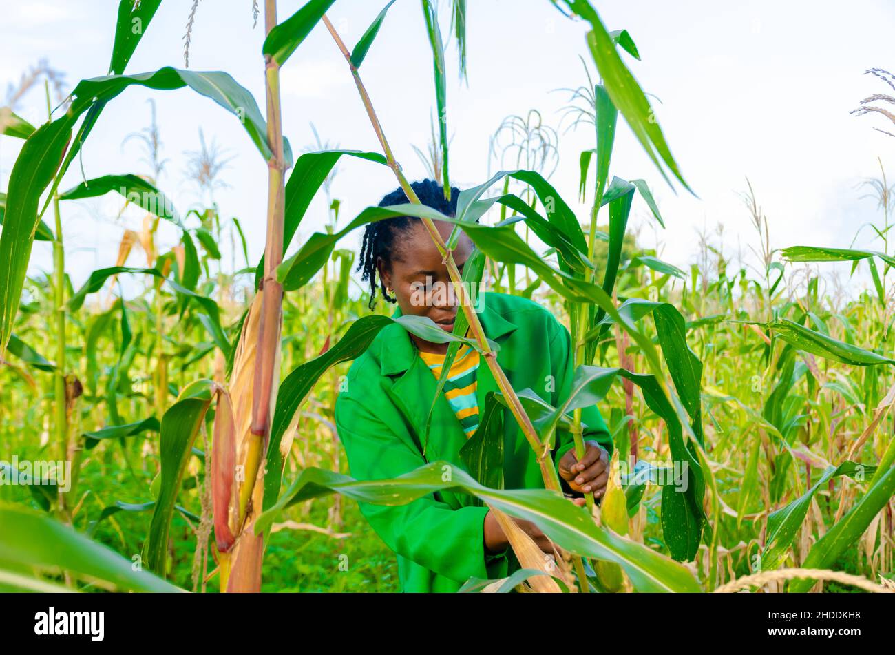 pretty agriculturist smiles as working on her crops Stock Photo - Alamy