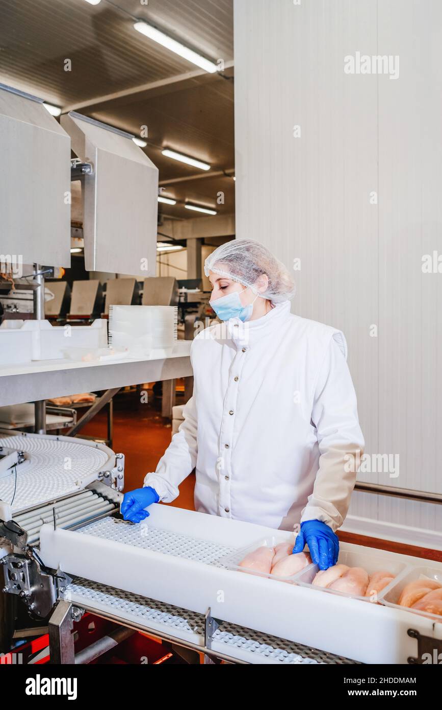 Line for the production of semi-finished meat products.Meat processing ...