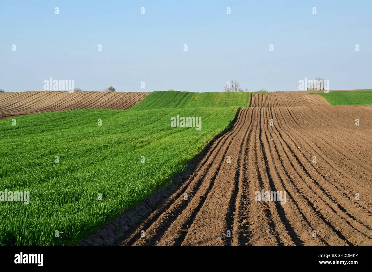 Tilled fields hi-res stock photography and images - Alamy