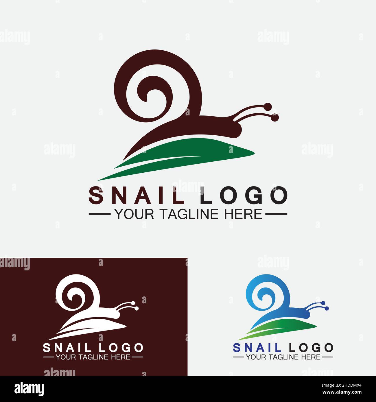 Snail logo template vector icon illustration design Stock Vector Image ...