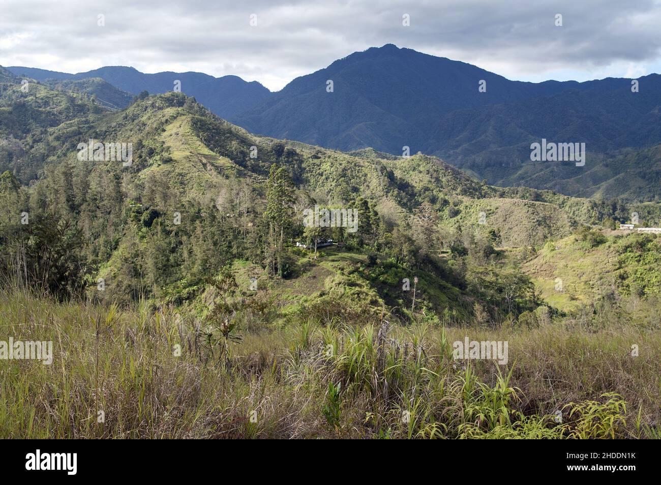 Papua New Guinea; Eastern Highlands; Goroka; Namta (Mefenga); Typical ...