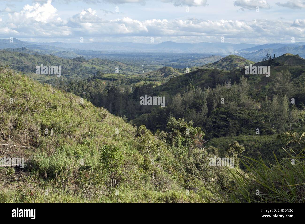 Papua New Guinea; Eastern Highlands; Goroka; Namta (Mefenga); Typical ...