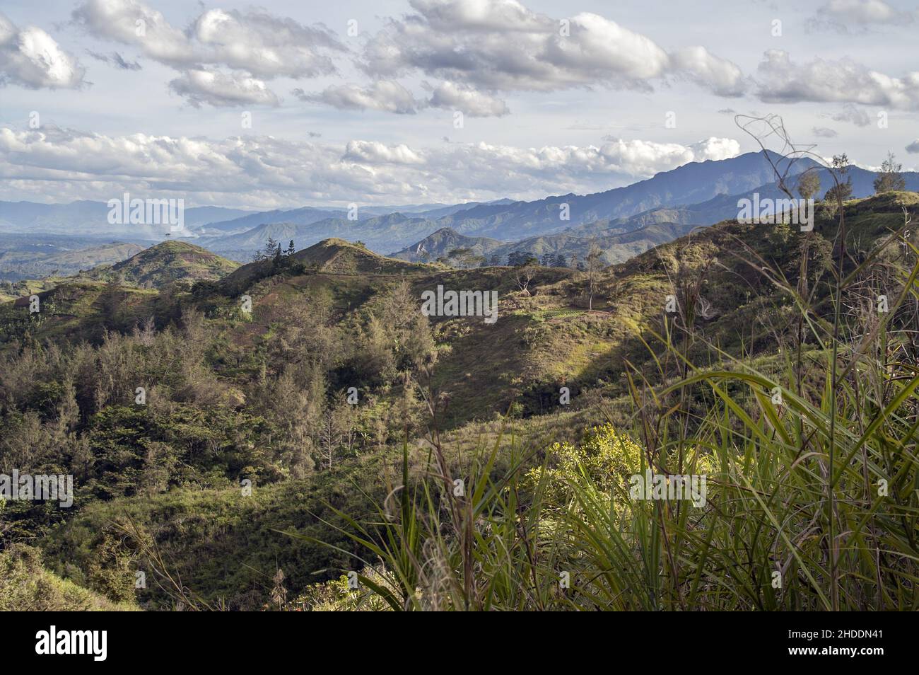 Papua New Guinea; Eastern Highlands; Goroka; Namta (Mefenga); Typical ...