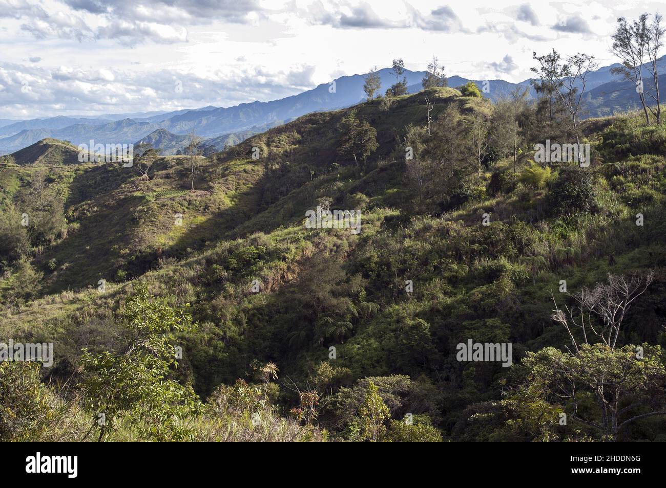 Papua New Guinea; Eastern Highlands; Goroka; Namta (Mefenga); Typical ...