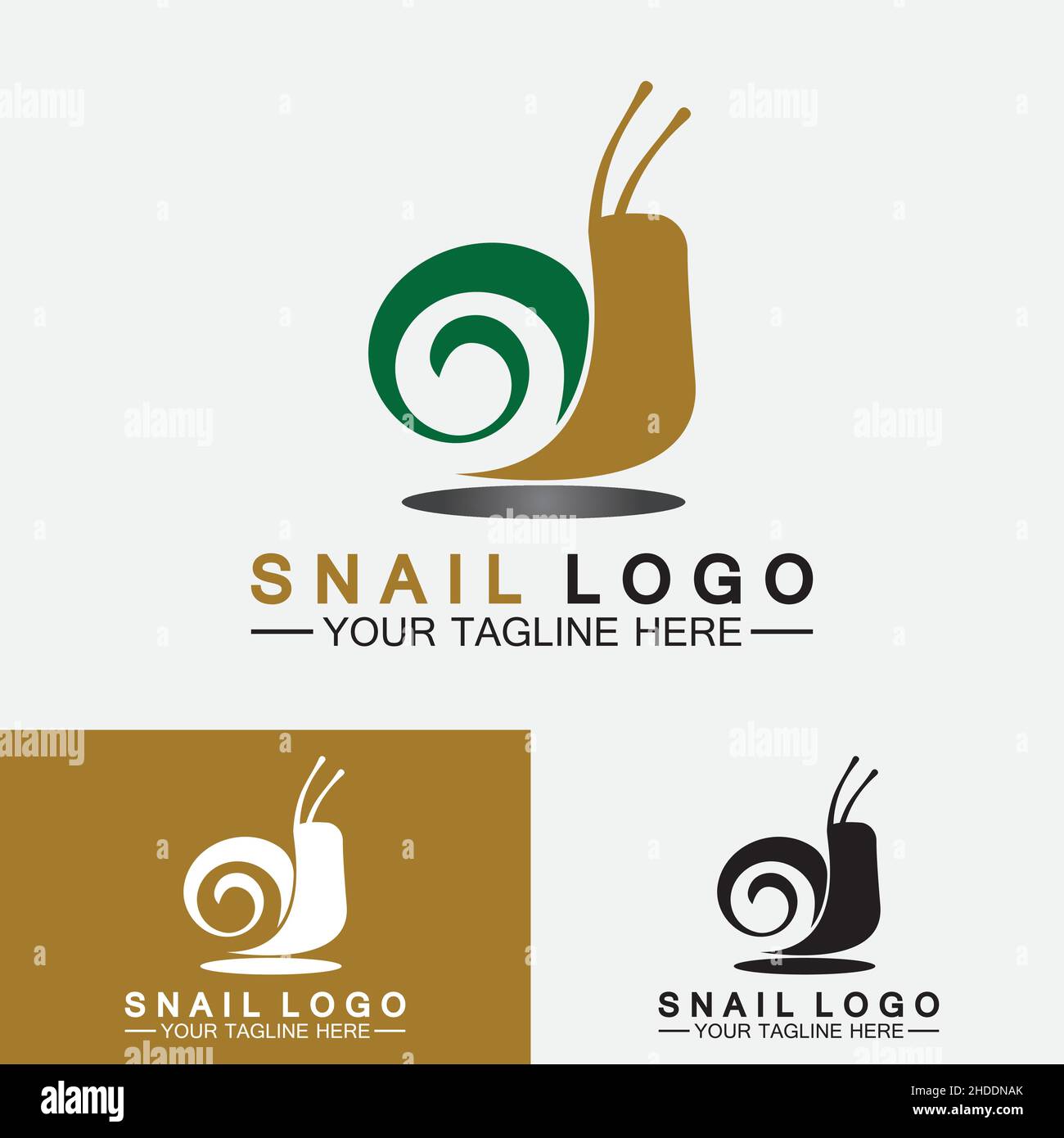 Snail logo template vector icon illustration design Stock Vector Image ...