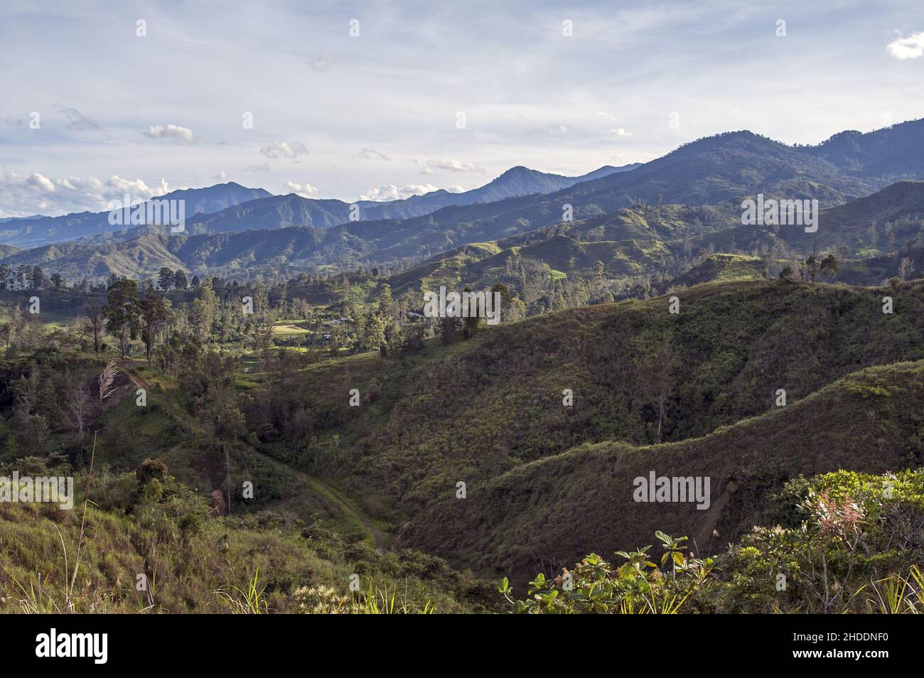 Papua New Guinea; Eastern Highlands; Goroka; Namta (Mefenga); Typical ...