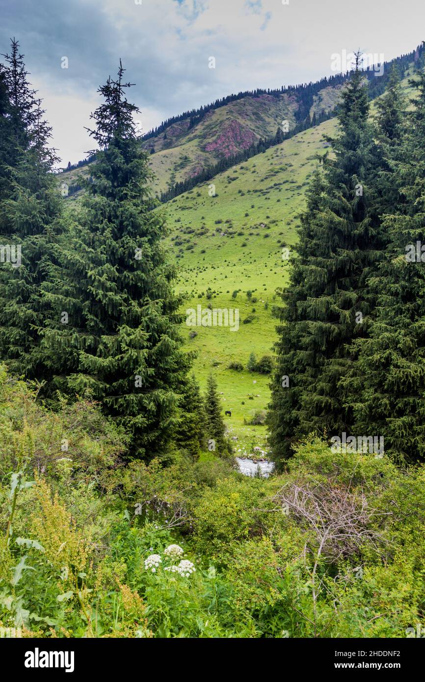 Karakol natural park hi-res stock photography and images - Alamy