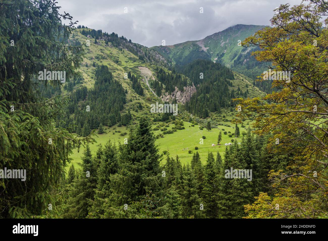 Karakol natural park hi-res stock photography and images - Alamy
