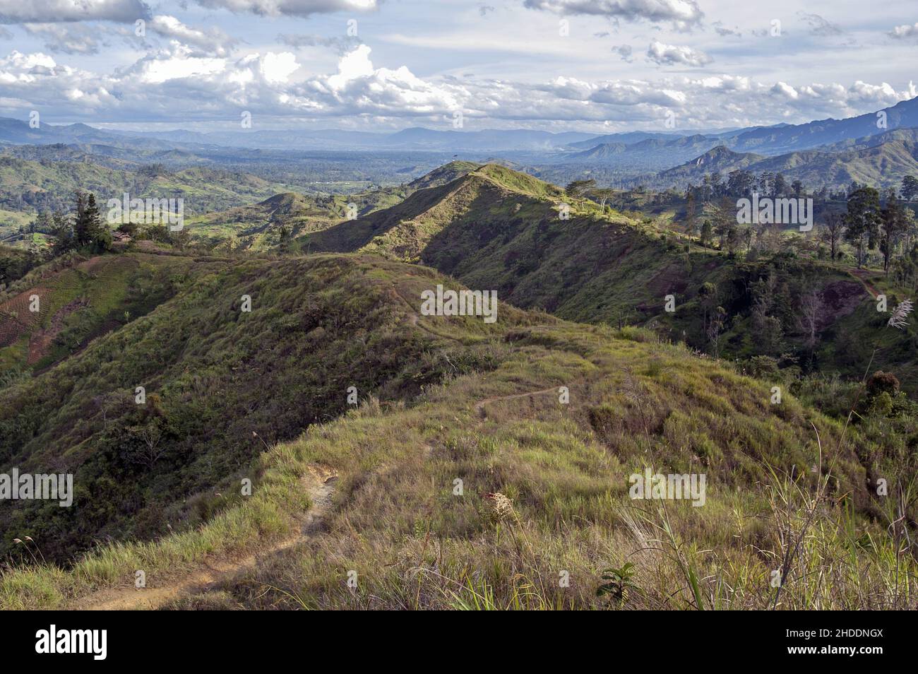 Papua New Guinea; Eastern Highlands; Goroka; Namta (Mefenga); Typical ...