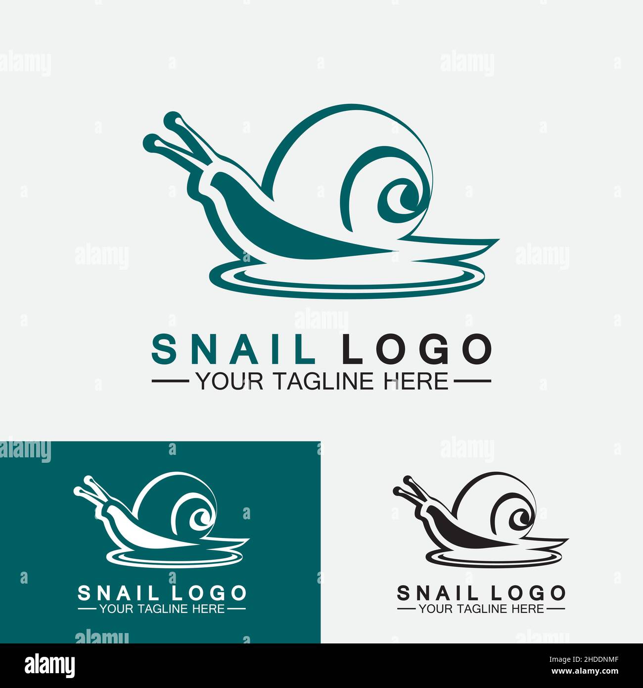 Snail Logo creative modern design inspiration vector Stock Vector Image ...
