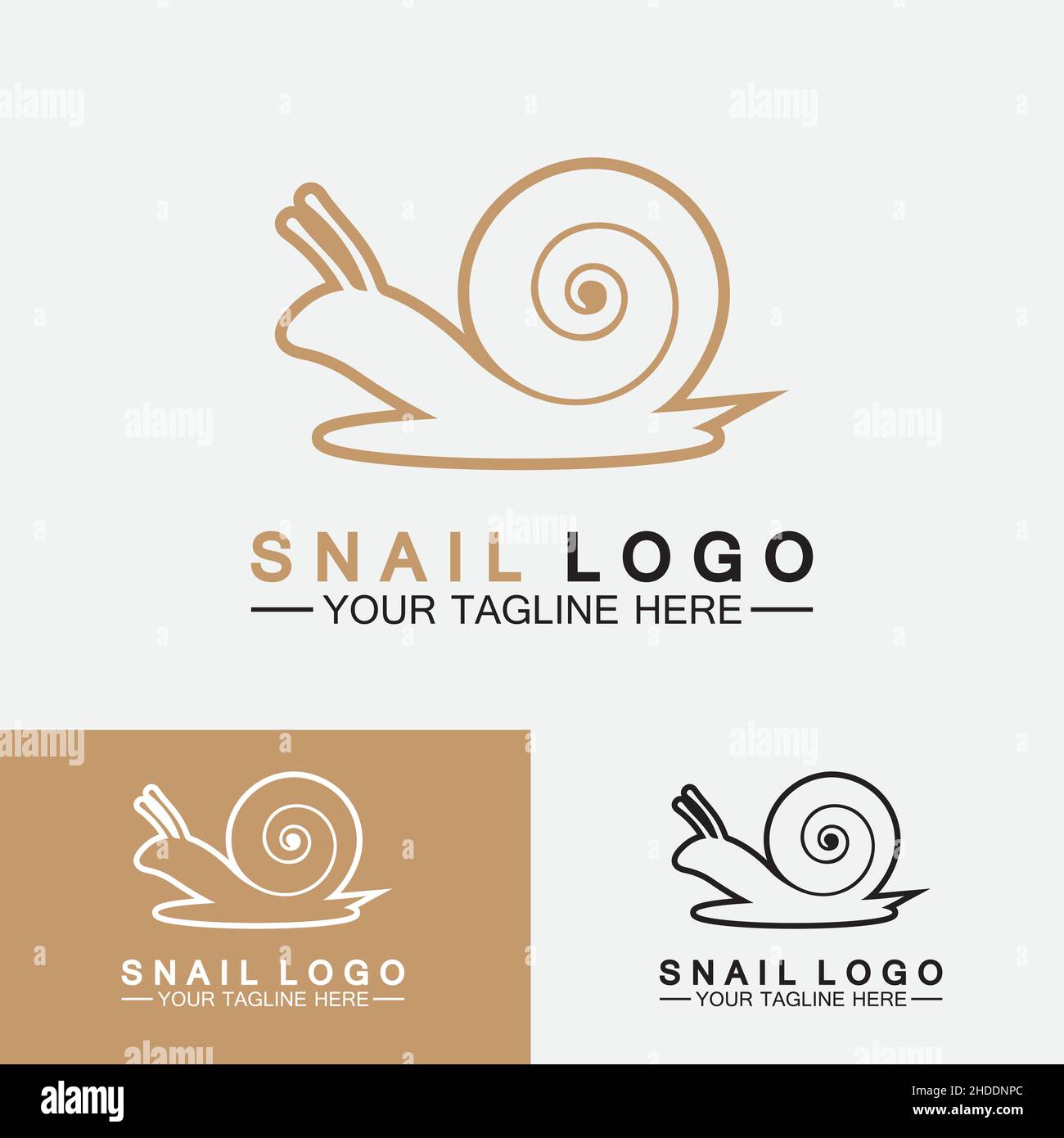 Snail Logo creative modern design inspiration vector Stock Vector Image ...
