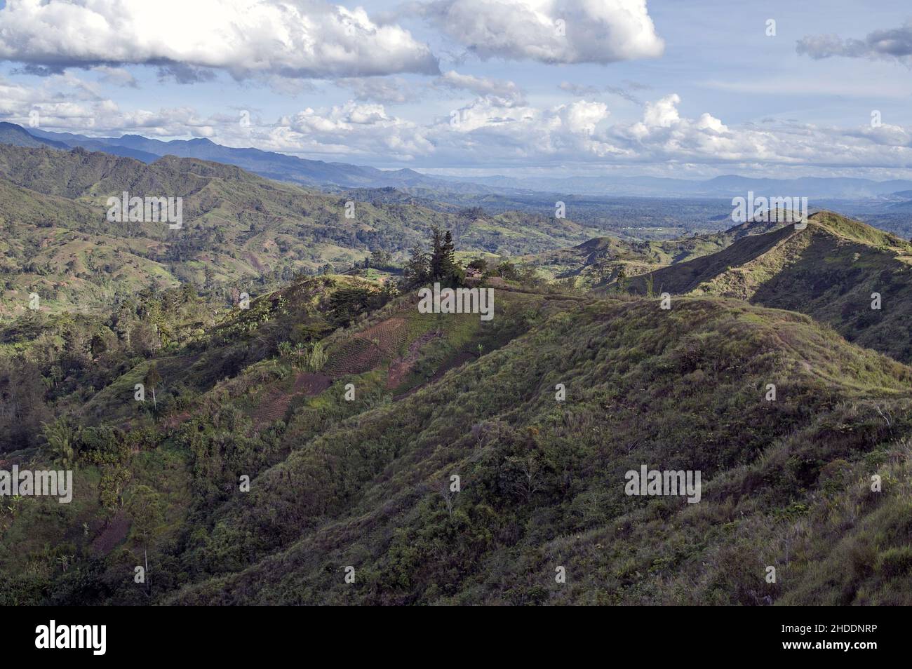 Papua New Guinea; Eastern Highlands; Goroka; Namta (Mefenga); Typical ...