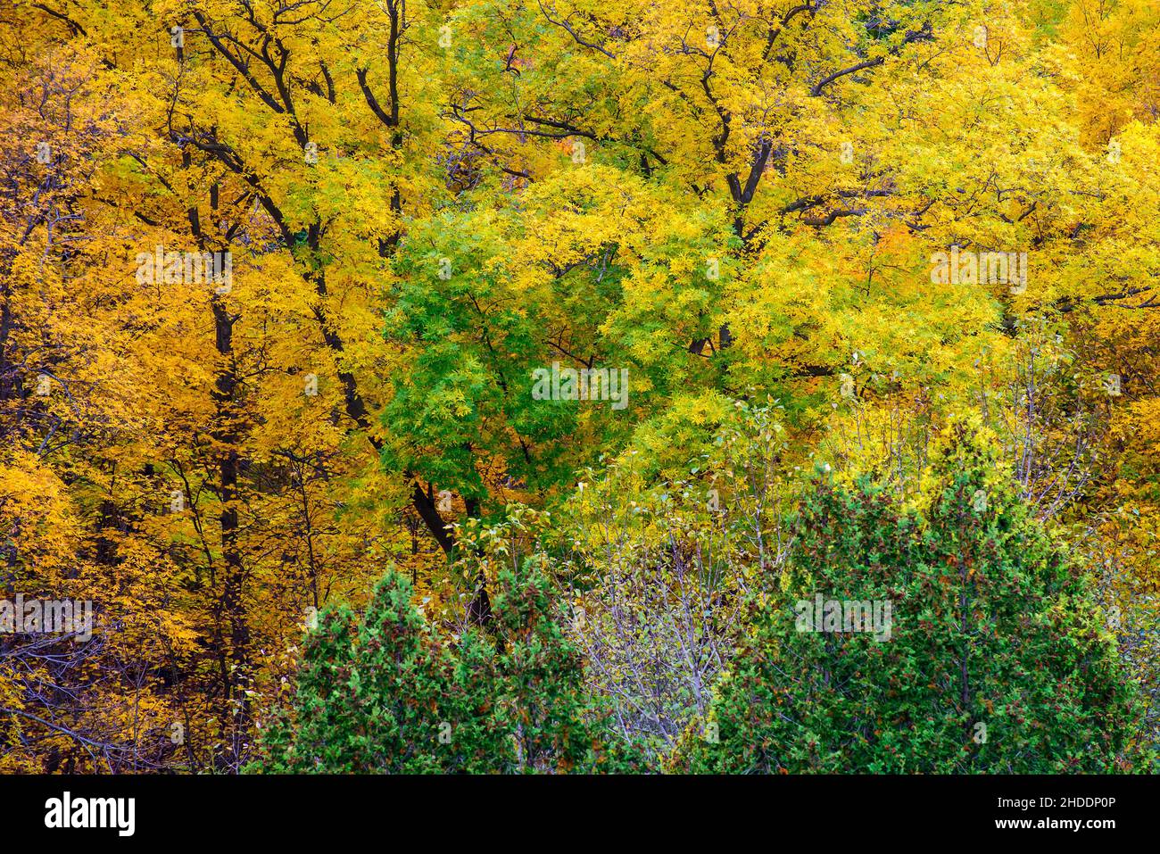 Chanhassen, Minnesota. Minnesota Landscape Arboretum. Beautiful scene ...