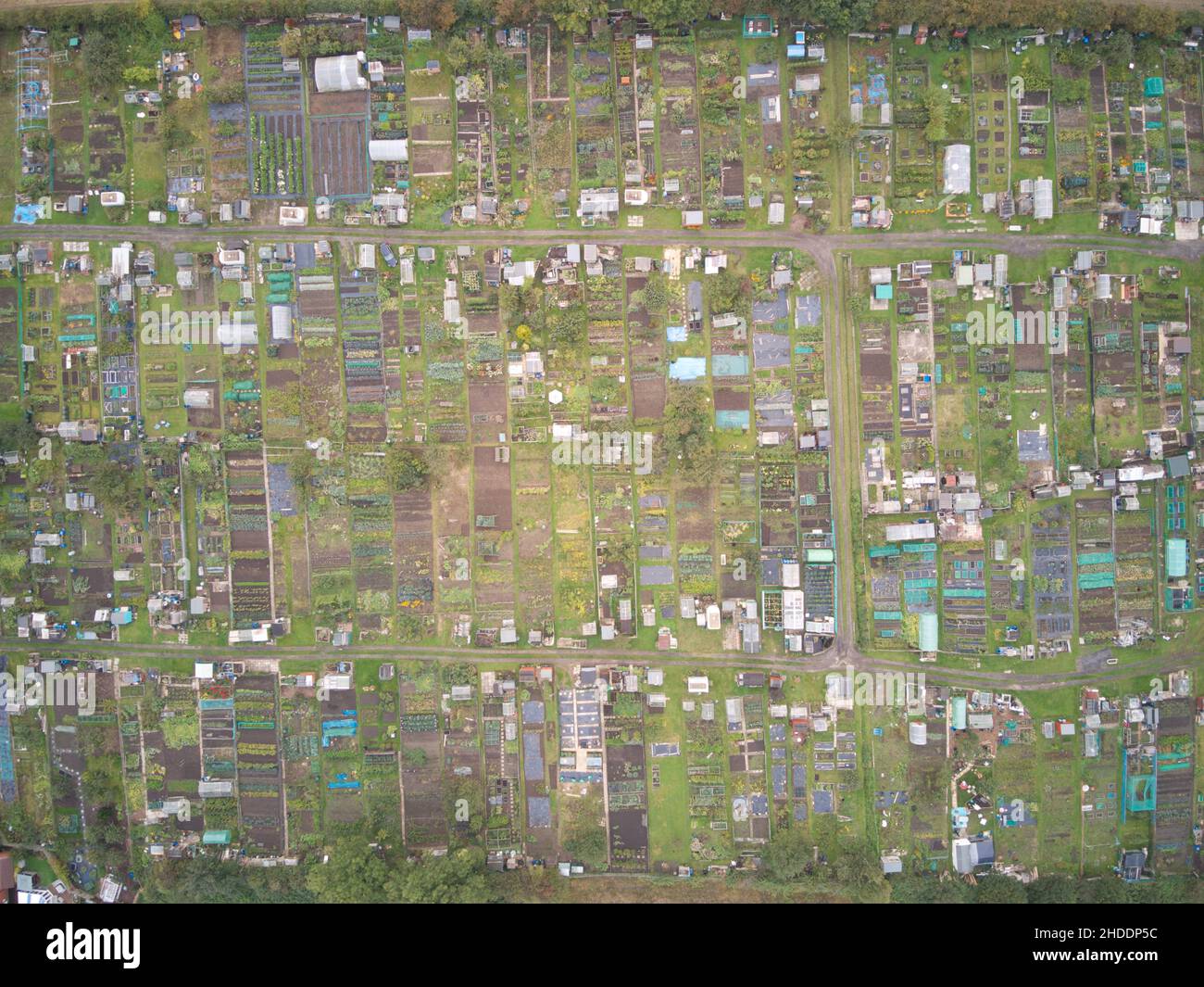 Aerial community vegetable garden hi-res stock photography and images ...