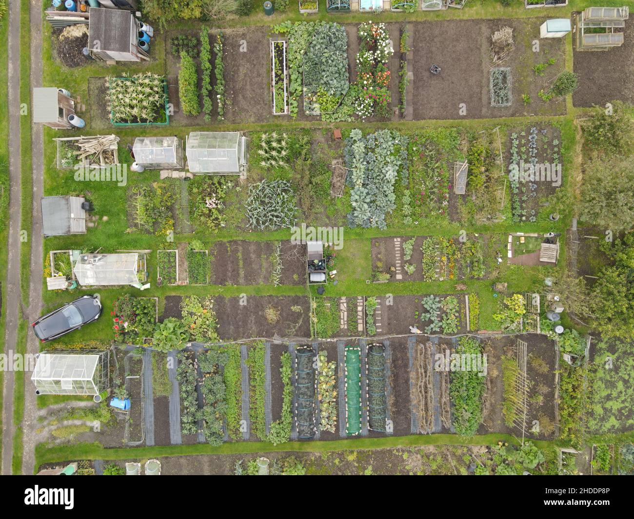 UK allotment gardens from above Stock Photo - Alamy