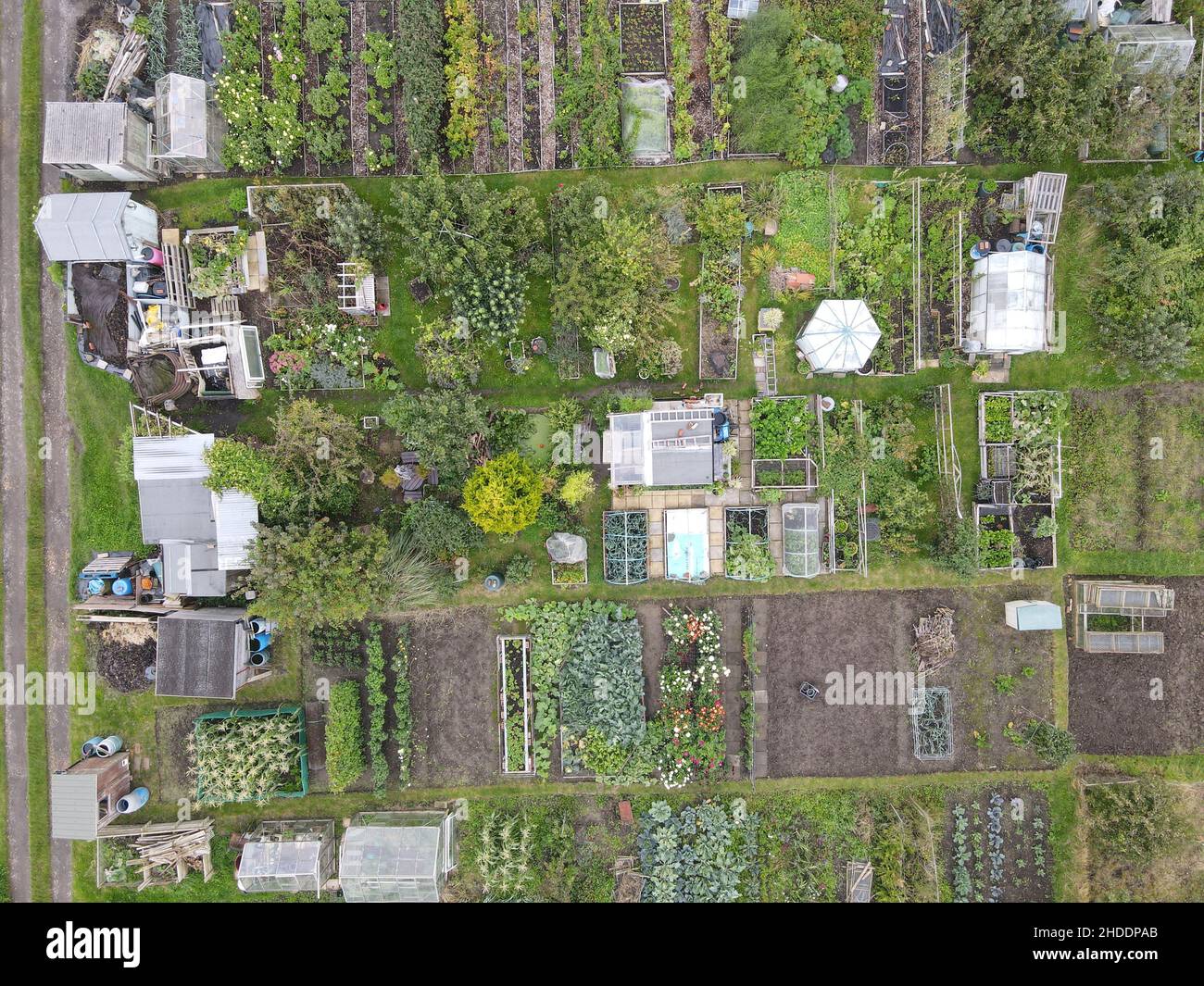 UK allotment gardens from above Stock Photo - Alamy