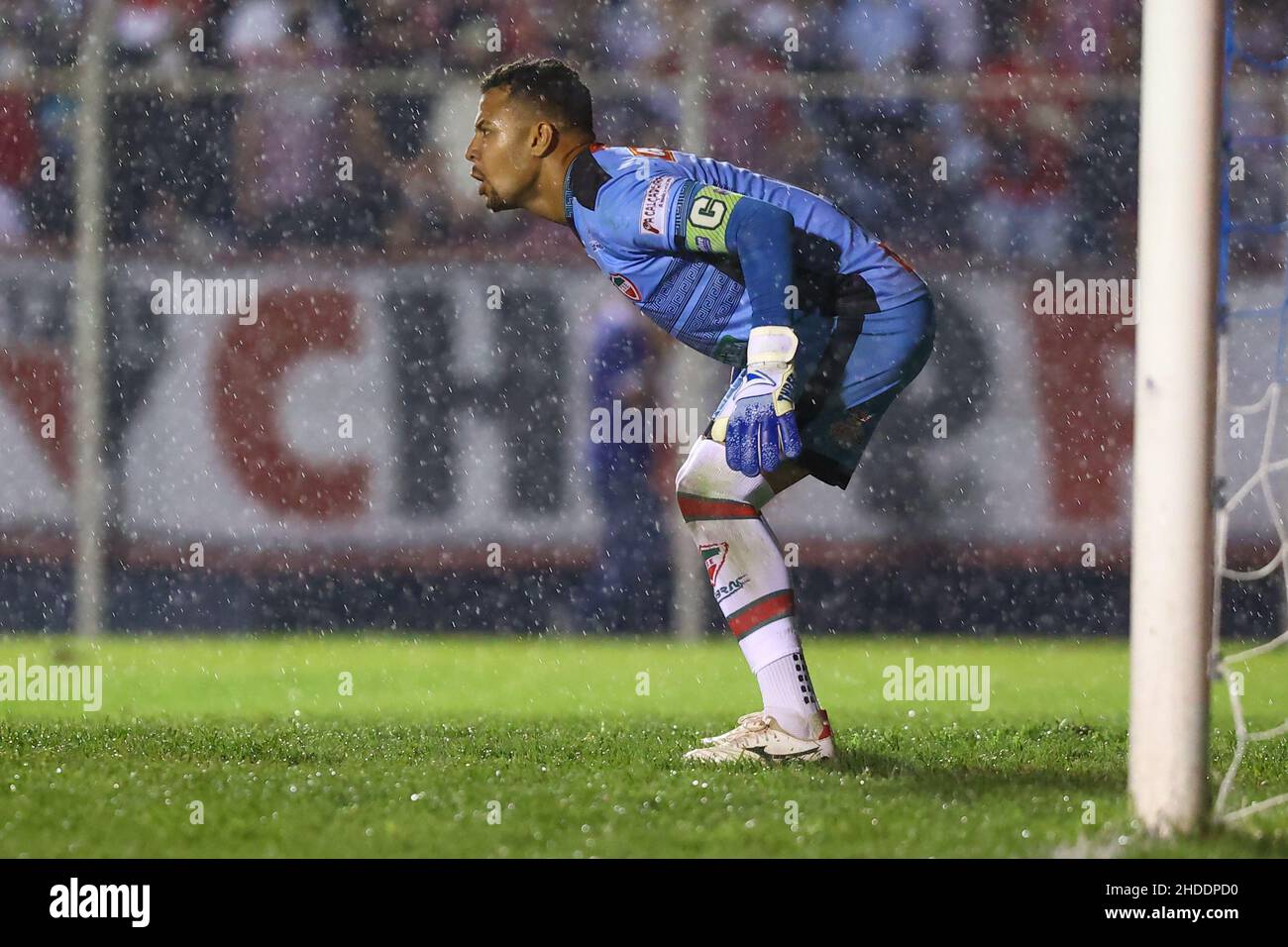 Bruno campanella hi-res stock photography and images - Alamy