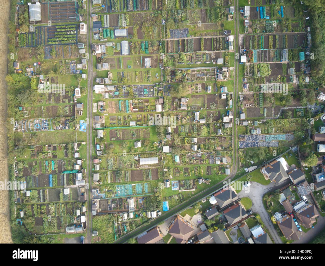 UK allotment gardens from above Stock Photo - Alamy