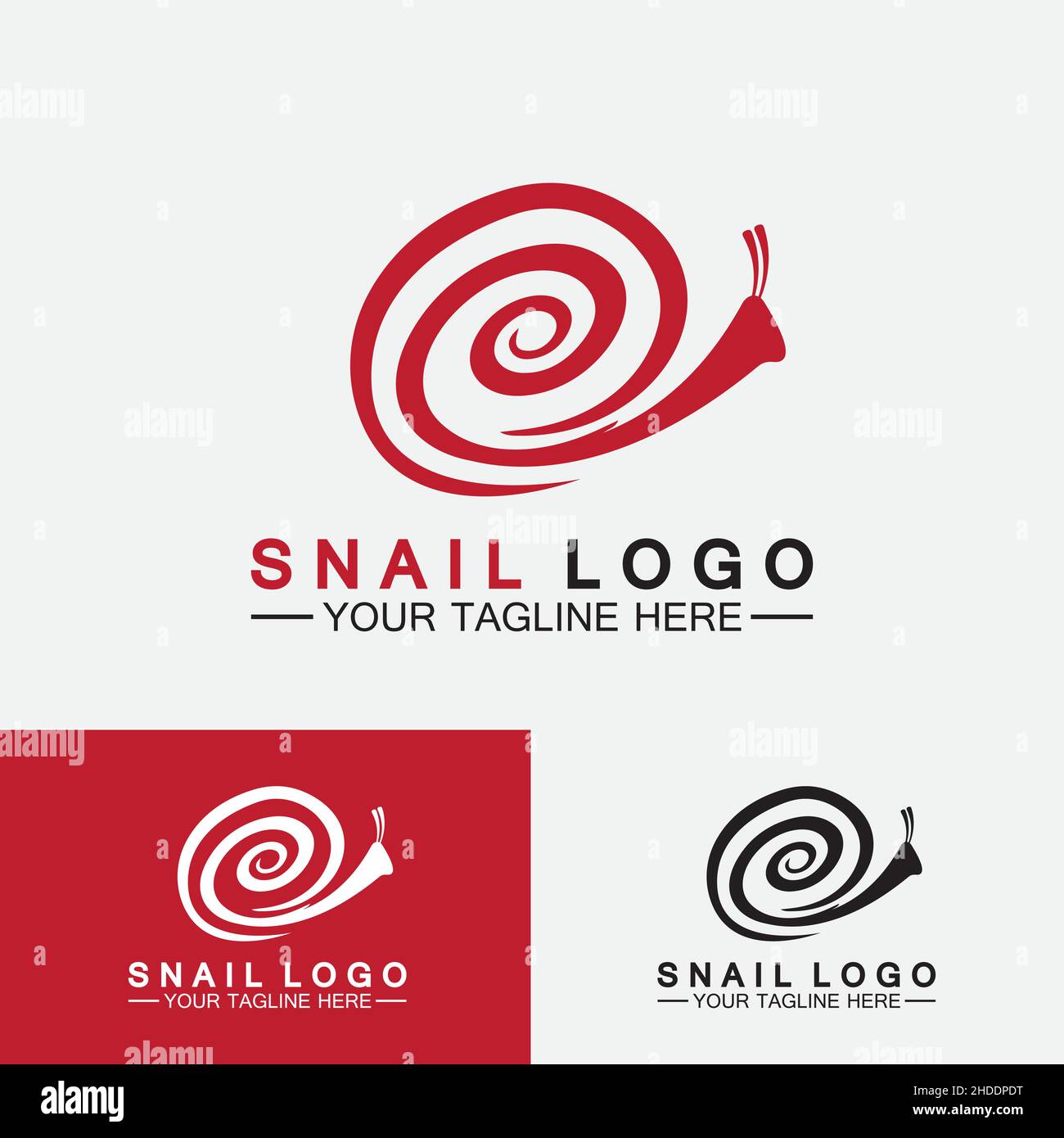 Snail logo template vector icon illustration design Stock Vector Image ...