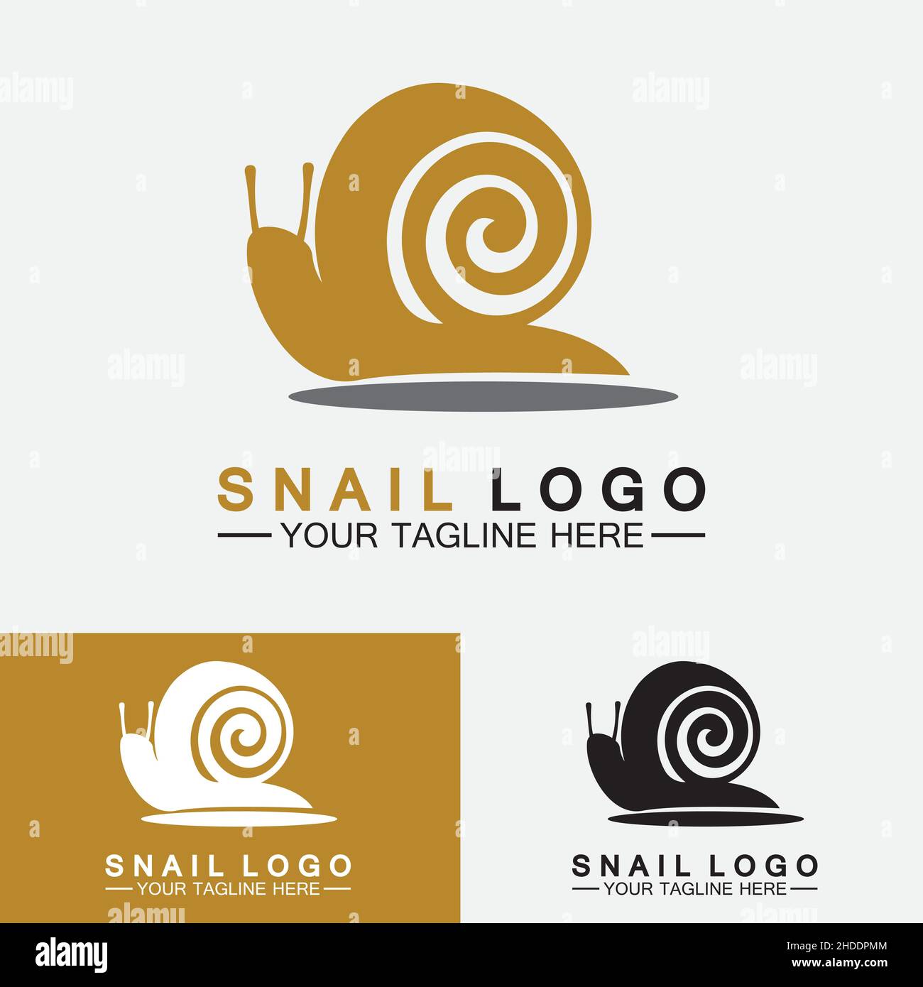 Snail logo template vector icon illustration design Stock Vector Image ...