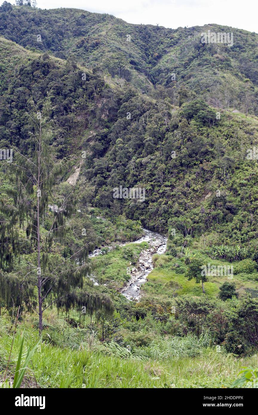 Papua New Guinea; Eastern Highlands; Goroka; Namta (Mefenga); A small ...
