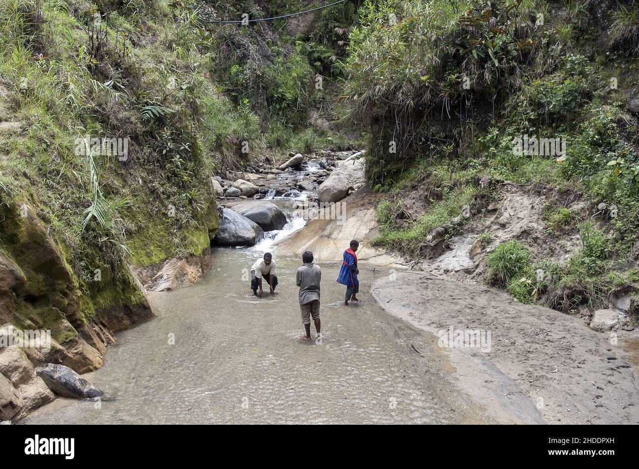 Papua New Guinea; Eastern Highlands; Goroka; Namta Mefenga; Papuan ...