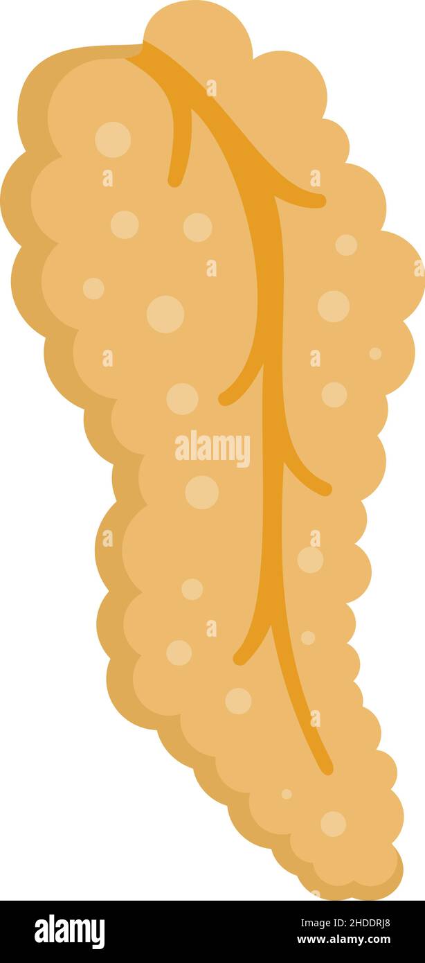Digestion pancreas icon. Flat illustration of Digestion pancreas vector ...
