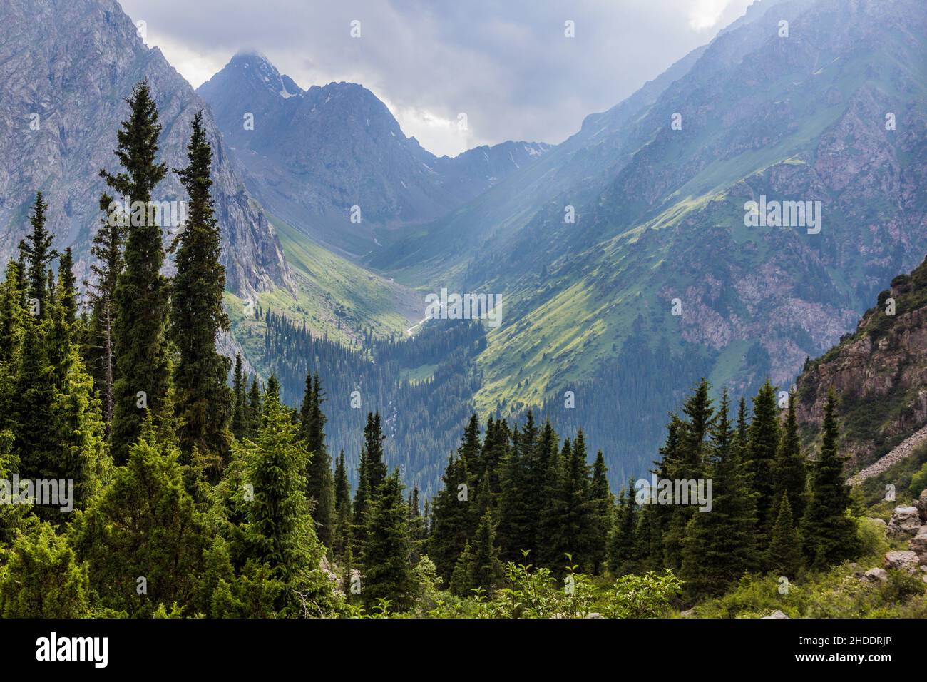 Karakol river valley in Kyrgyzstan Stock Photo - Alamy