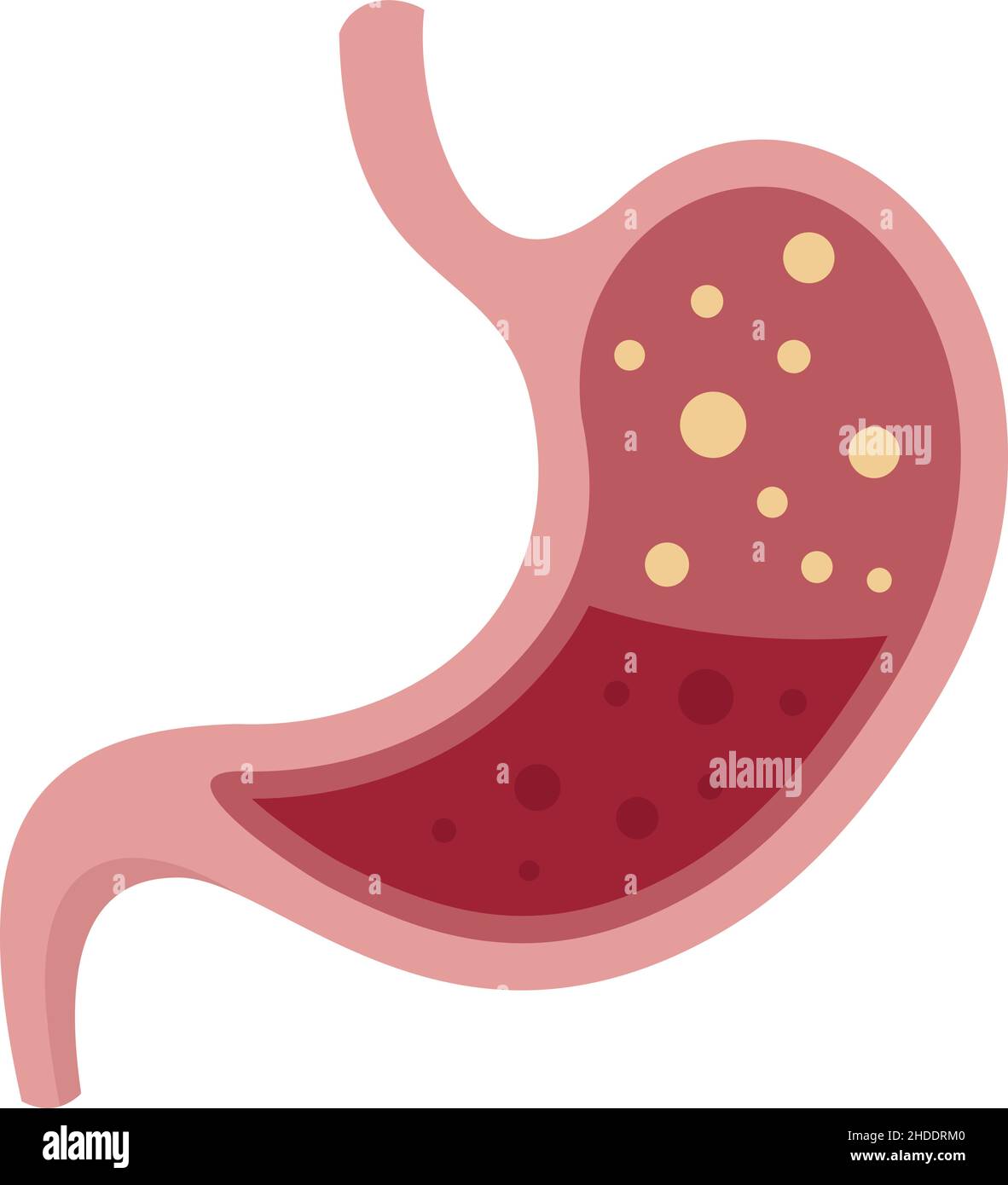 Digestion stomach liquid icon. Flat illustration of Digestion stomach ...