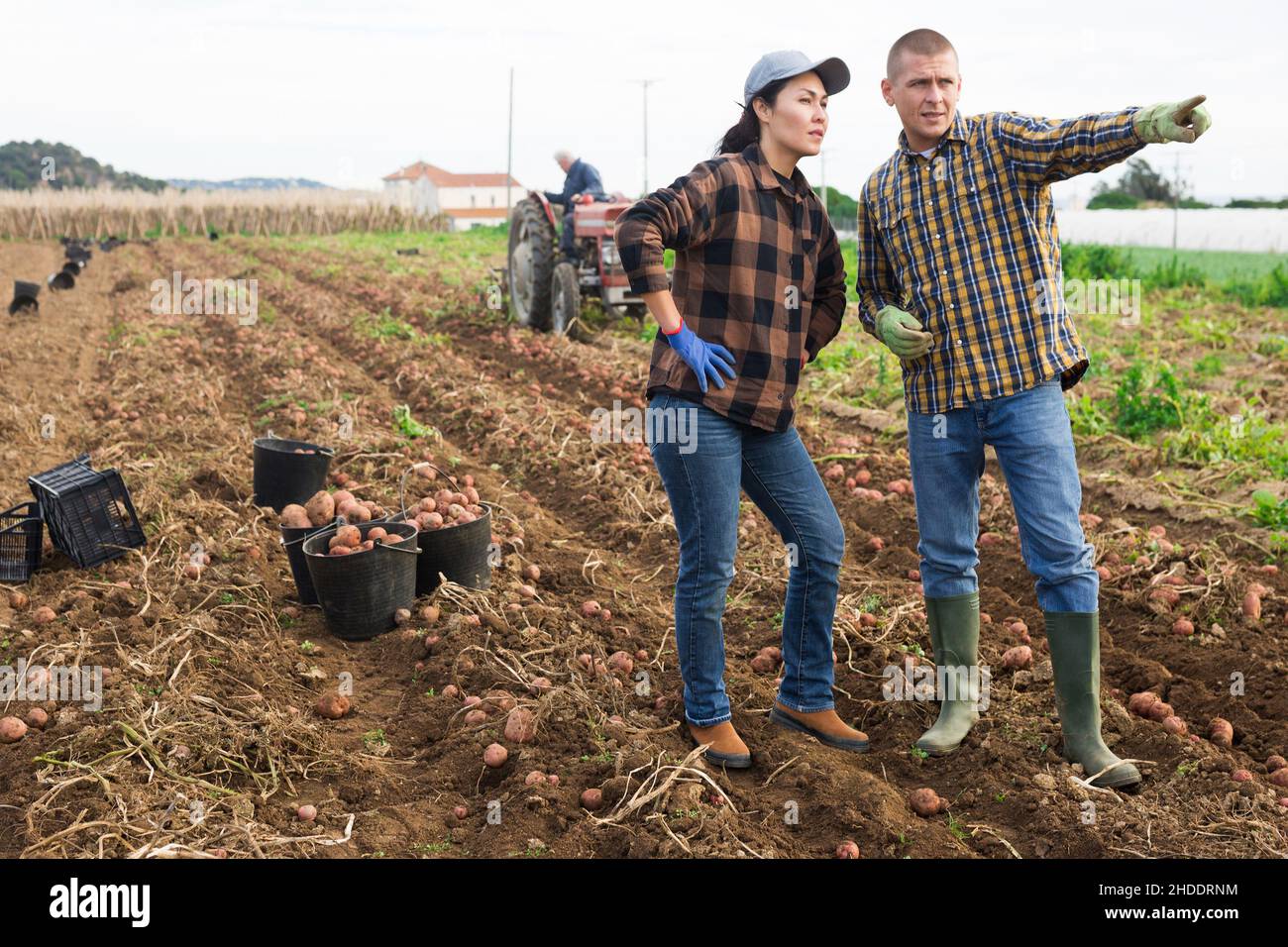 Head of the agricultural holding indicates to hired worker where to ...