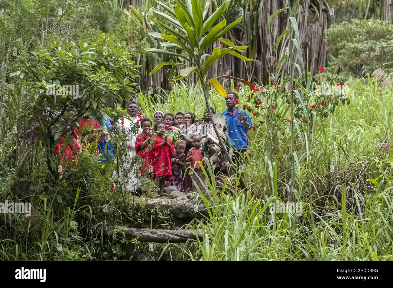 Papua New Guinea; Eastern Highlands; Goroka; Namta (Mefenga); A group ...