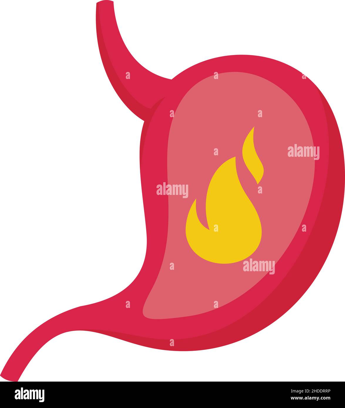 Fire stomach icon. Flat illustration of Fire stomach vector icon ...