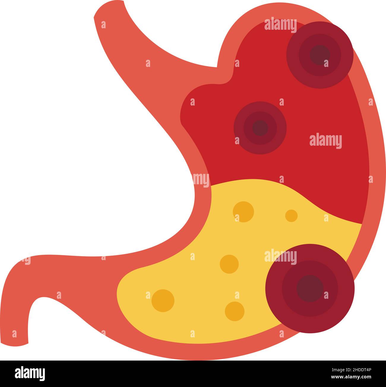 Stomach digestion icon. Flat illustration of Stomach digestion vector ...