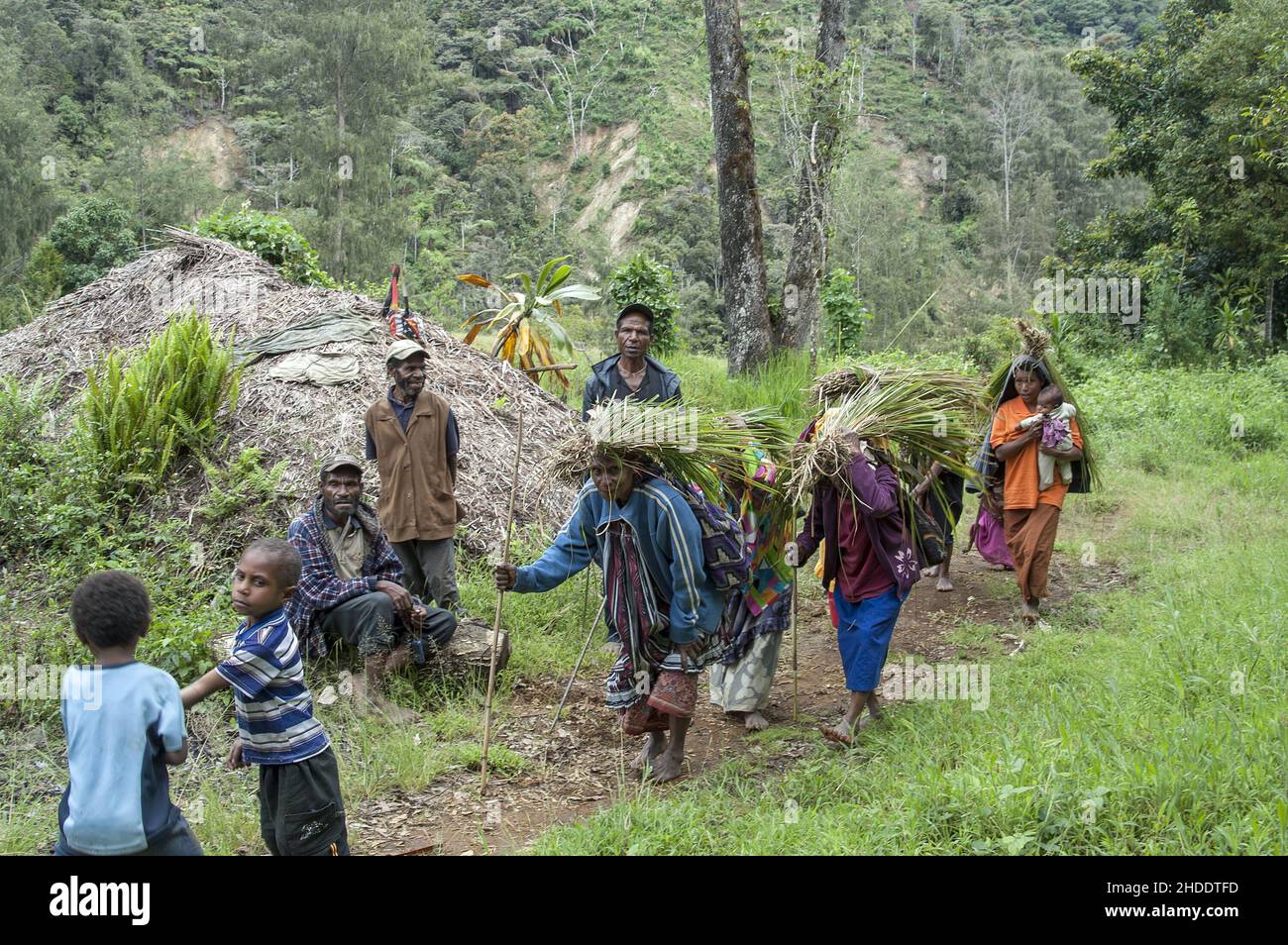 Papua New Guinea; Eastern Highlands; Goroka; Namta (Mefenga); A group ...