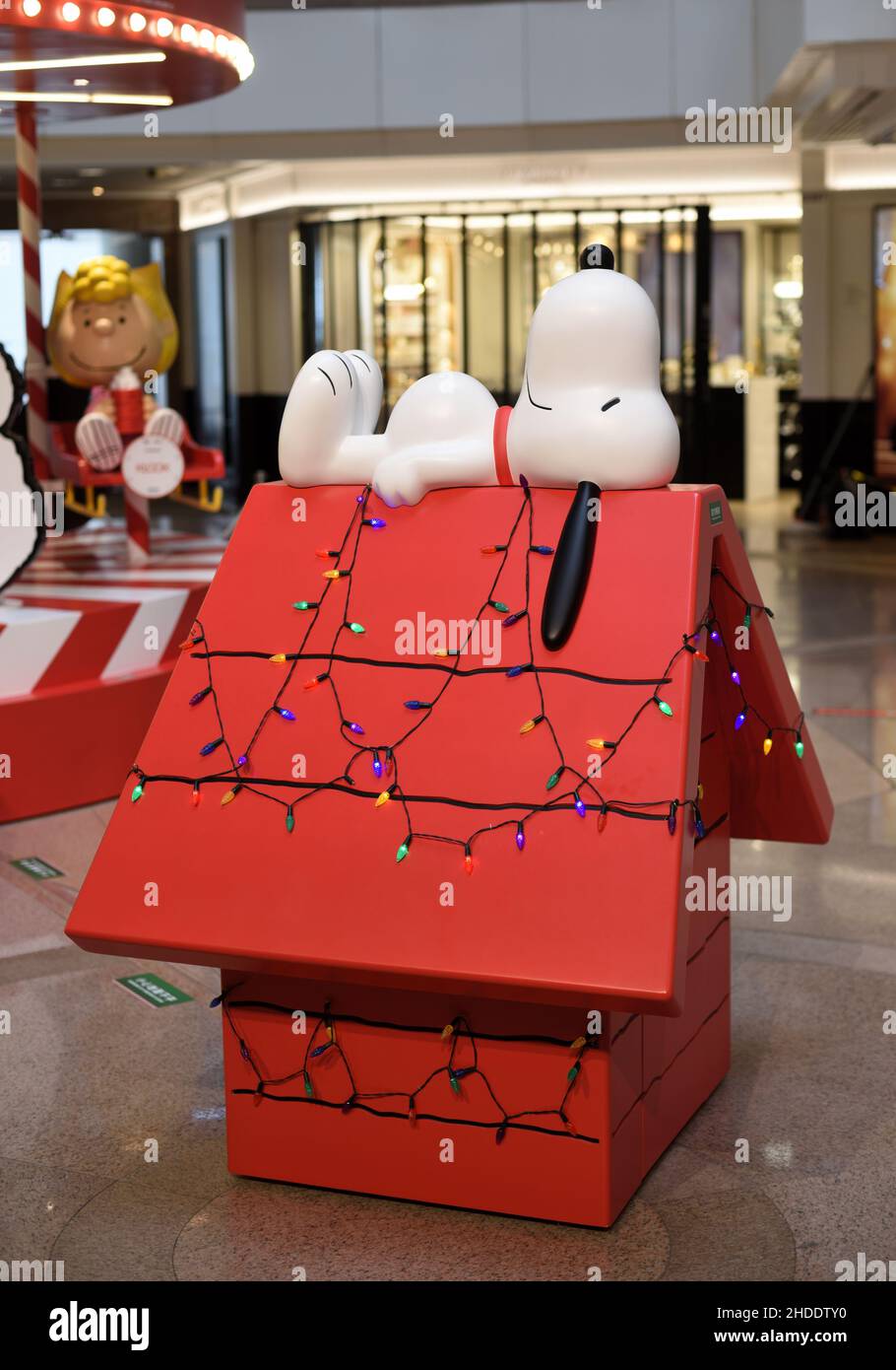 Snoopy Dog House Plans