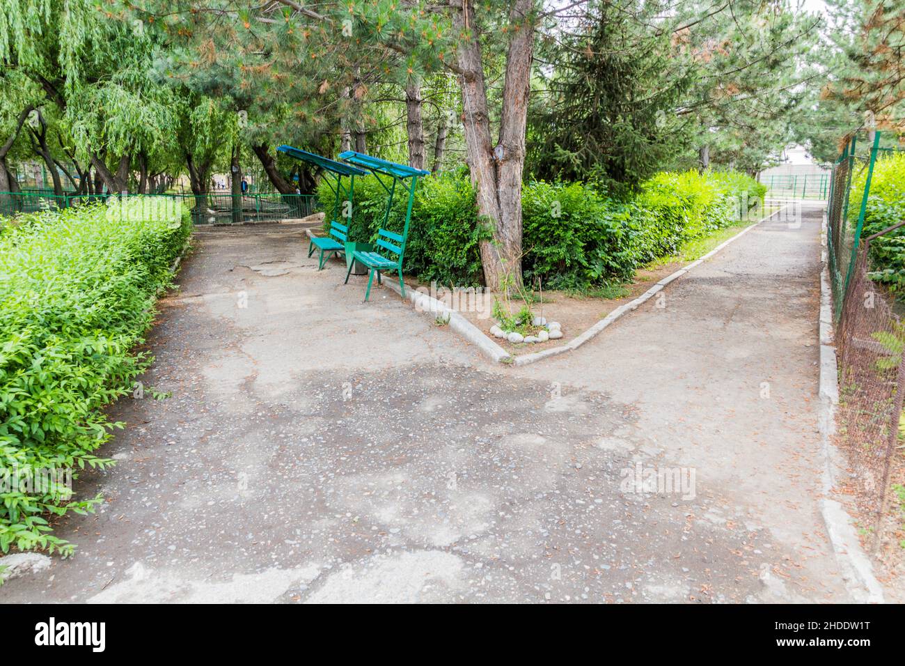 Two paths in Karakol zoo, Kyrgyzstan Stock Photo - Alamy